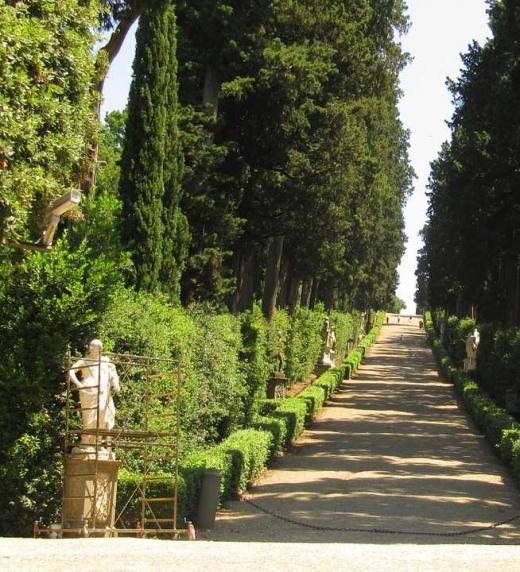 Todo Empezó en Florencia : Una historia llena de emociones, viajes y ...